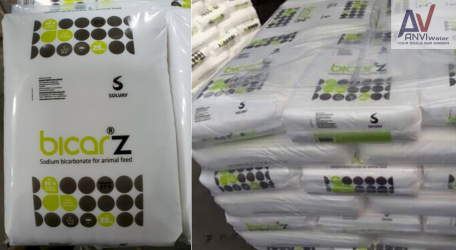 Bicar Z Solvay Xuất Xứ Ý, Sodium Bicarbonate, 25 Kg/ Bao - Anvi Chem